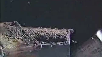 Swarm Save | Rescue 911 Wiki | Fandom