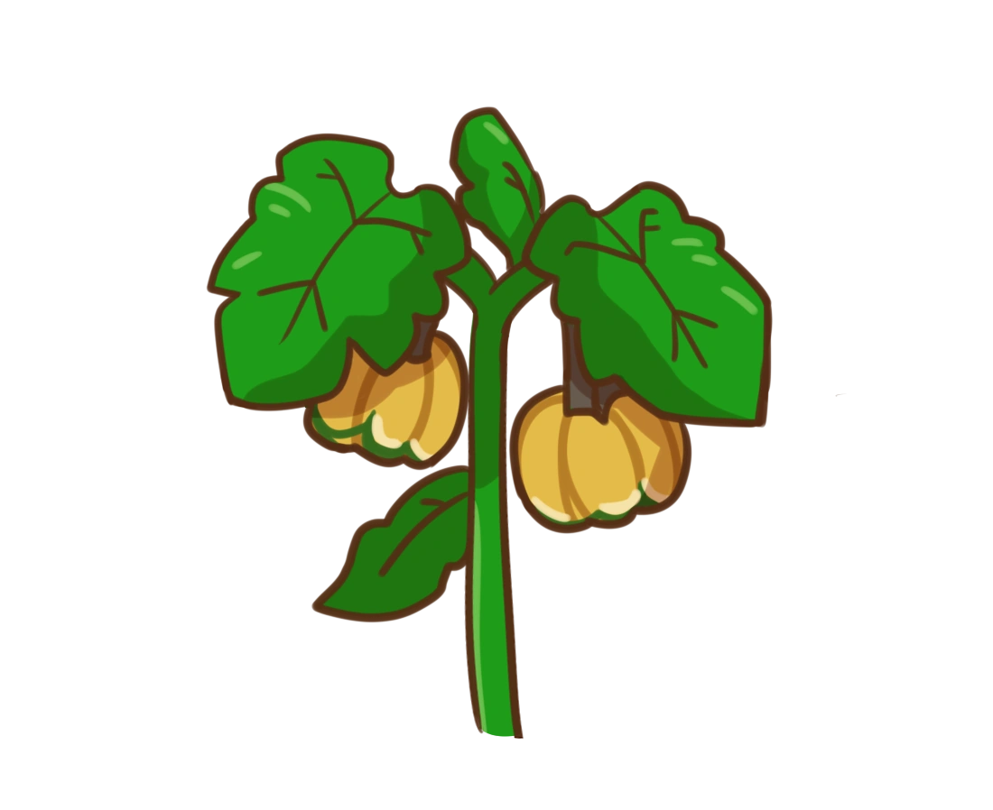 Winter Squash | Research Story Wiki | Fandom