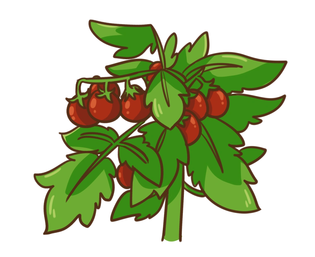 Tomato | Research Story Wiki | Fandom