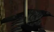 Crow | Resident Evil Classic Wiki | Fandom