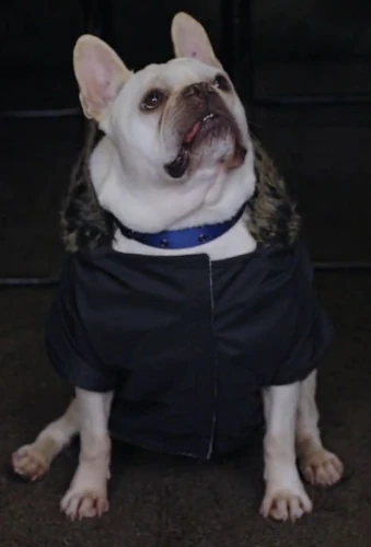 Cletus | Resident Alien Wiki | Fandom