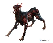 Zombie Dog | Resident Evil Wiki | Fandom