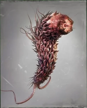 Plaga Type 4 | Resident Evil Wiki | Fandom