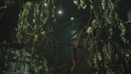 Greenhouse (RE2 remake) | Resident Evil Wiki | Fandom