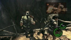 BSAA Emblem | Resident Evil Wiki | Fandom