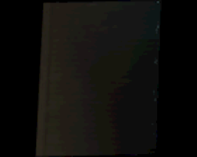Researcher's Diary | Resident Evil Wiki | Fandom