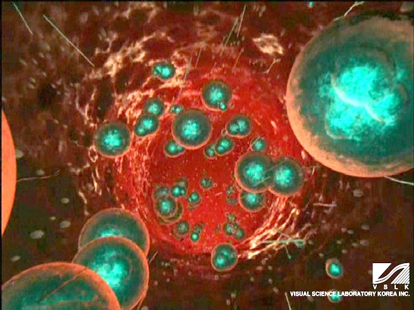 Virus Executer | Resident Evil Wiki | Fandom