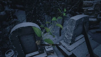 Herb | Resident Evil Wiki | Fandom