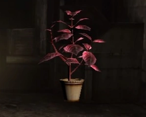 Red Herb (Revelations 2) | Resident Evil Wiki | Fandom