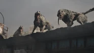 Garmr | Resident Evil Wiki | Fandom