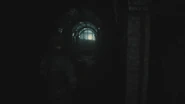 Alligator | Resident Evil Wiki | Fandom