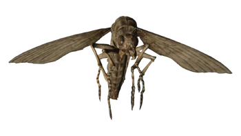 Man-eating insect (adult) | Resident Evil Wiki | Fandom