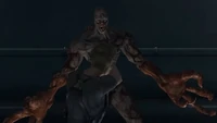 Tyrant | Resident Evil Wiki | Fandom
