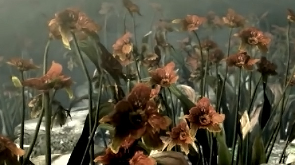 Progenitor Flower | Resident Evil Wiki | Fandom