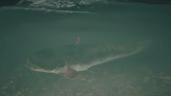 Catfish | Resident Evil Wiki | Fandom