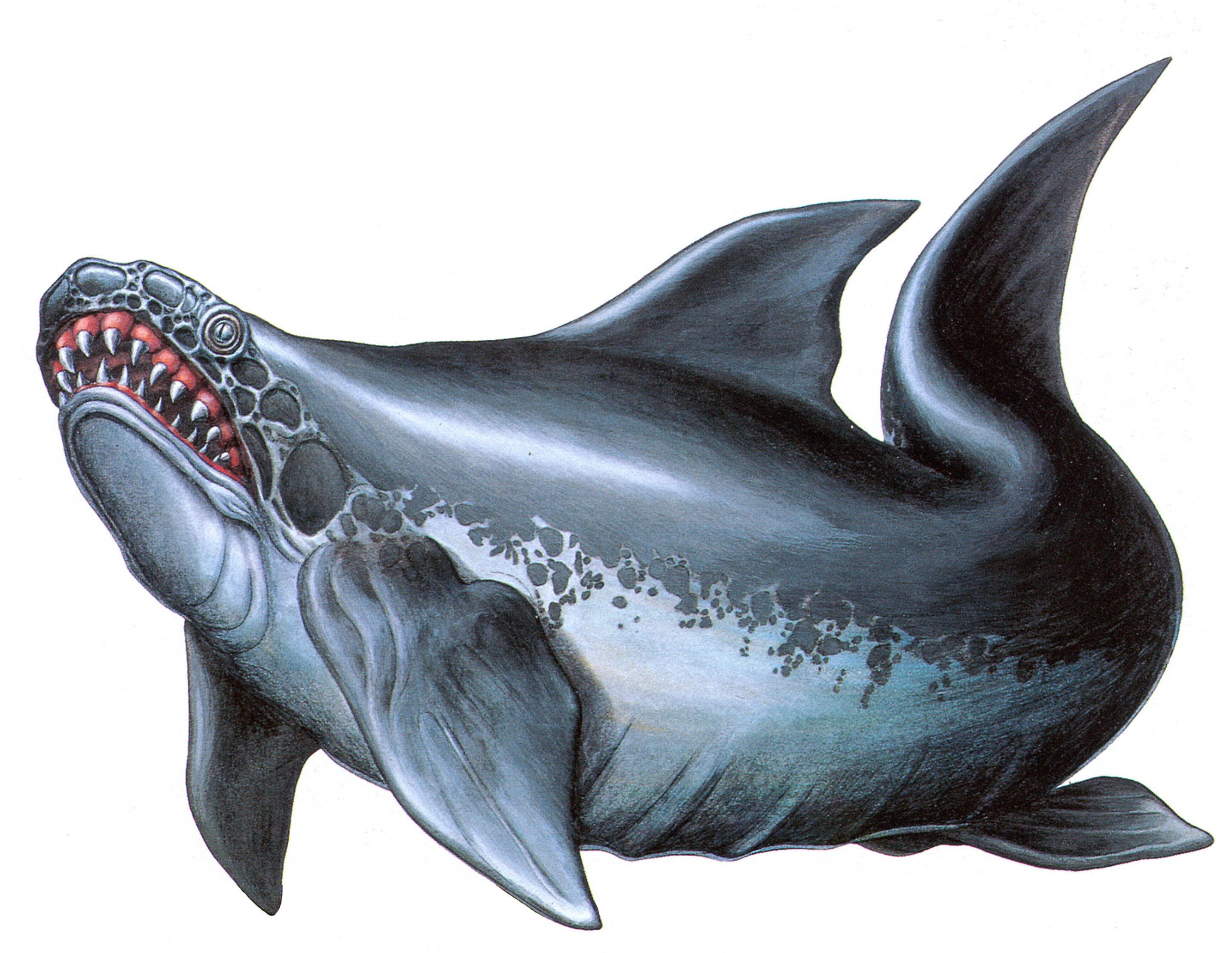 Neptune | Resident Evil Wiki | Fandom