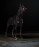 Cerberus | Resident Evil Wiki | Fandom