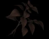 Red Herb | Resident Evil Wiki | Fandom