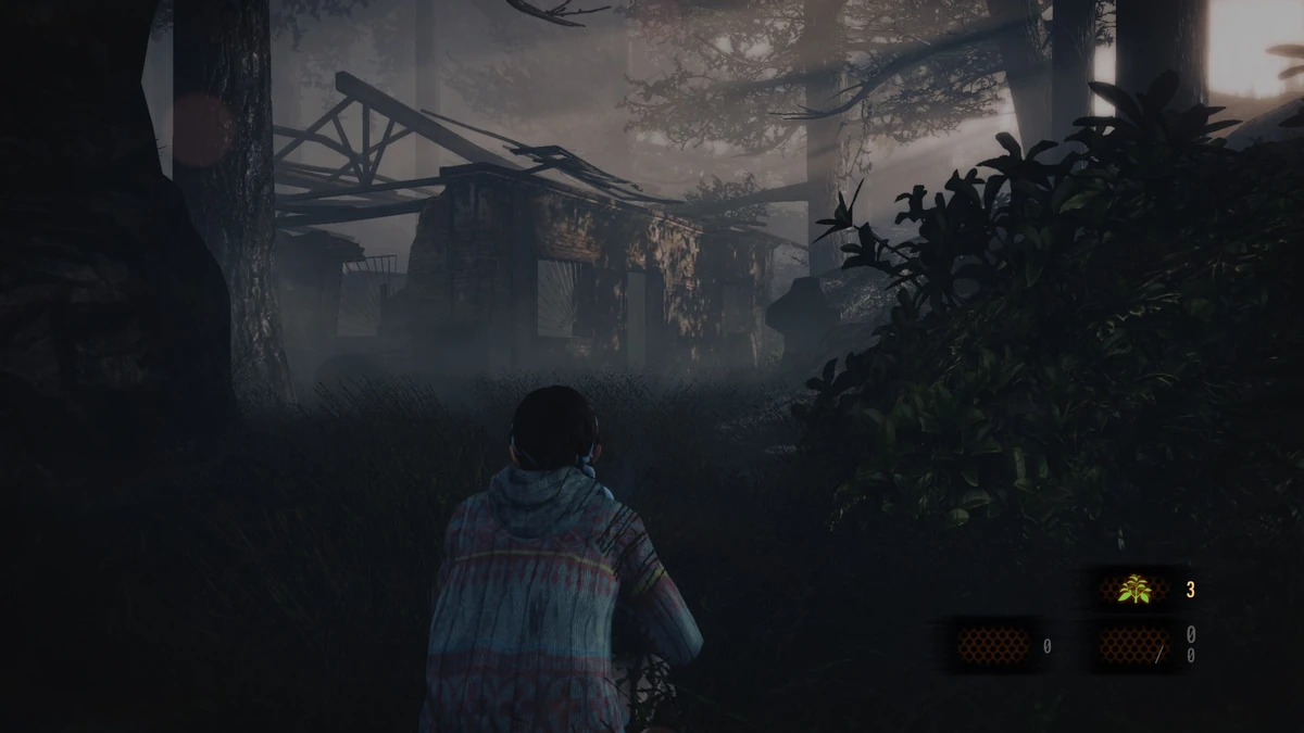 Forest ruins | Resident Evil Wiki | Fandom