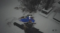 Bird (rare) | Resident Evil Wiki | Fandom