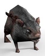 Rat | Resident Evil Wiki | Fandom