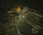 Insectos | Resident Evil Wiki | Fandom