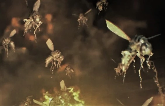 Man-eating insect (young) | Resident Evil Wiki | Fandom