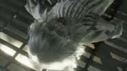 Emily | Resident Evil Wiki | Fandom