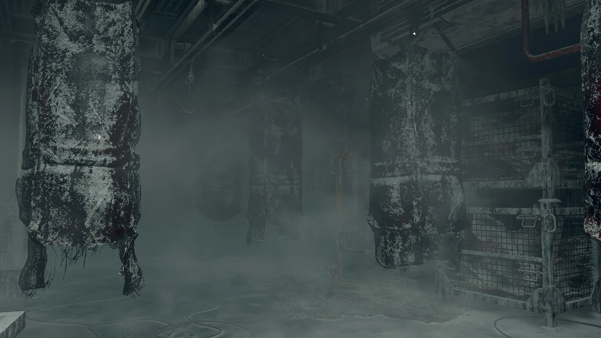 Freezer | Resident Evil Wiki | Fandom