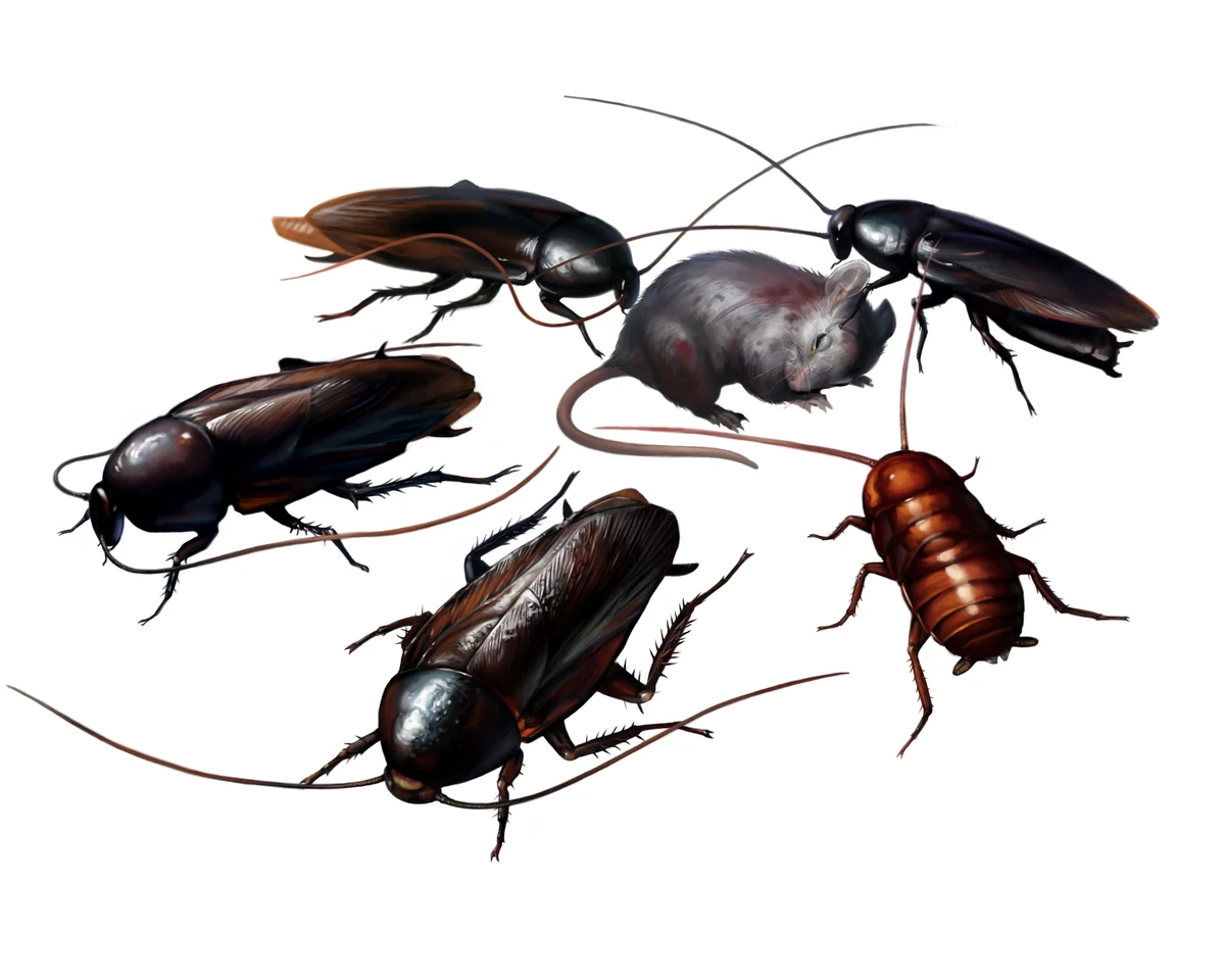 Cockroach | Resident Evil Wiki | Fandom