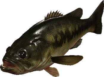 Black Bass | Resident Evil Wiki | Fandom
