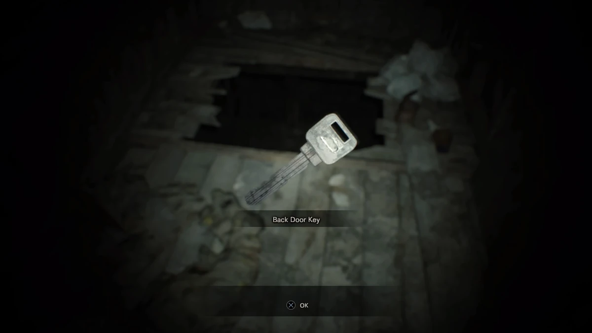 Back Door Key | Resident Evil Wiki | Fandom