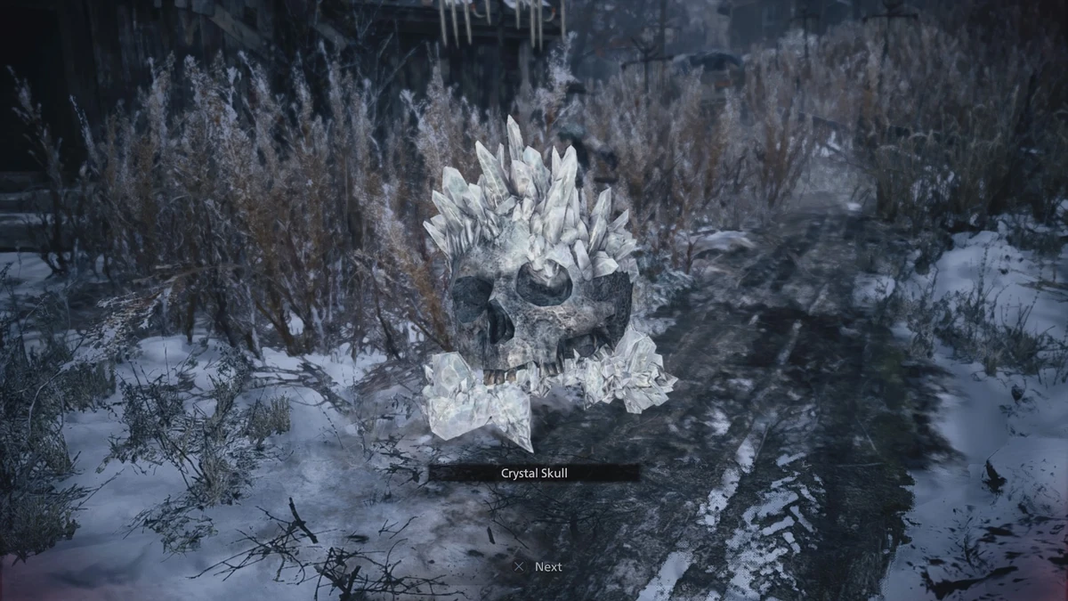 Crystal Skull | Resident Evil Wiki | Fandom