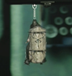 Zealot w/ shield | Resident Evil Wiki | Fandom