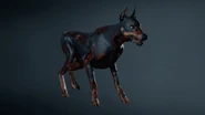 Zombie Dog | Resident Evil Wiki | Fandom