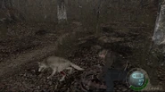 Dog | Resident Evil Wiki | Fandom