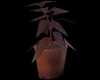 Red Herb | Resident Evil Wiki | Fandom
