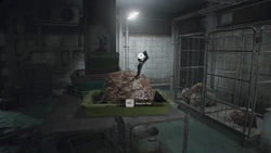 How Many Doors Does The Scorpion Key Open