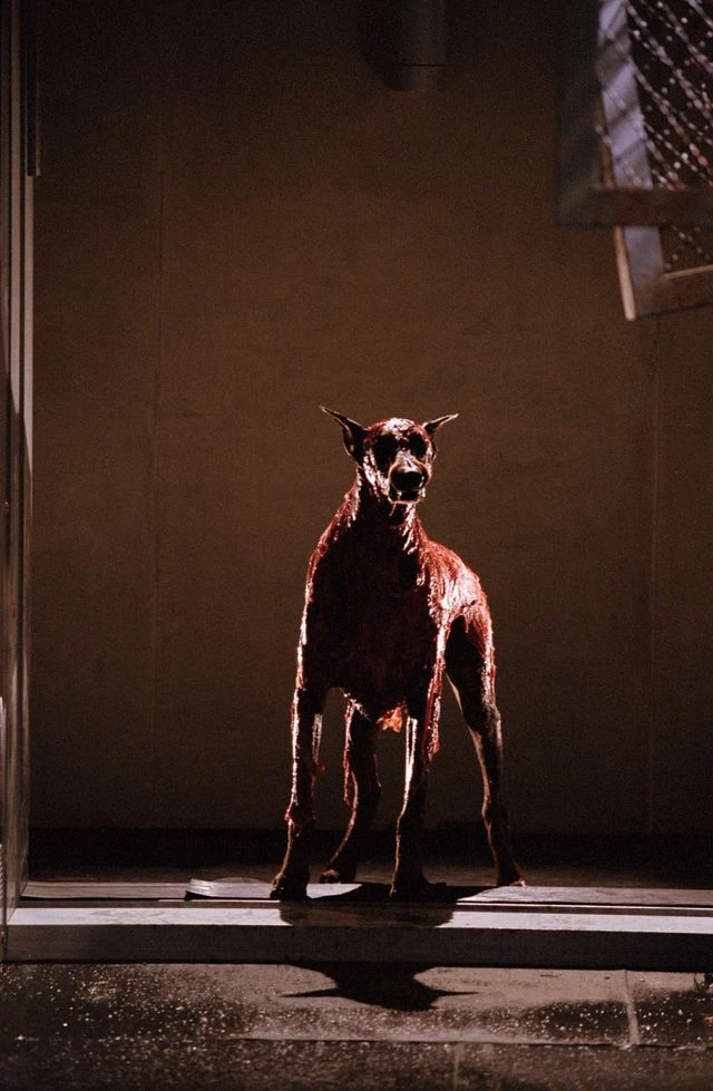 Cerberus (Anderson) | Resident Evil Wiki | Fandom