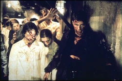 Resident Evil Maldicao Jd