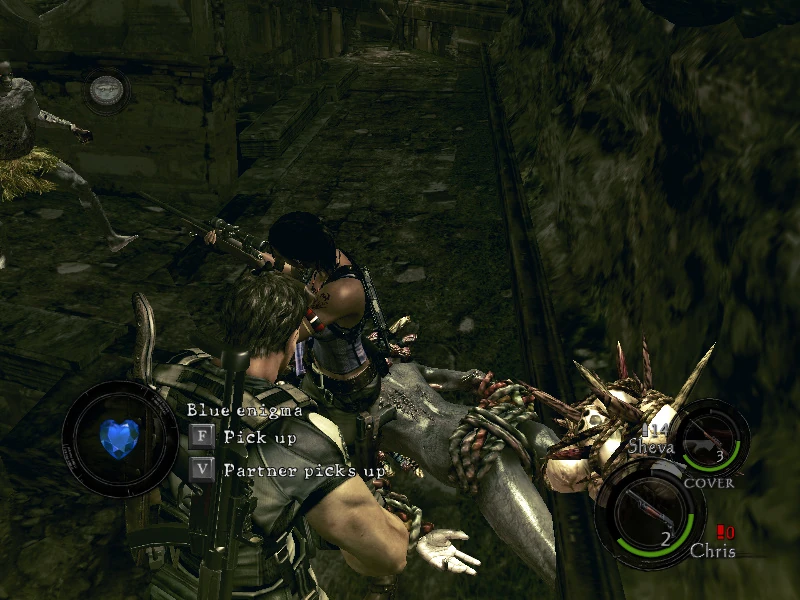 Blue enigma | Resident Evil Wiki | Fandom