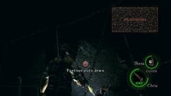 BSAA Emblem | Resident Evil Wiki | Fandom