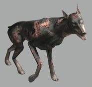 Zombie Dog | Resident Evil Wiki | Fandom