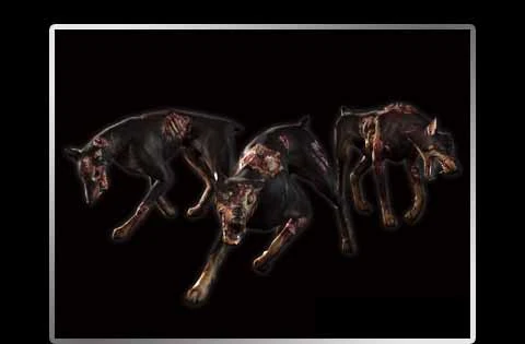 FILE 13: Cerberus | Resident Evil Wiki | Fandom