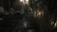 Enemigo invisible | Resident Evil Wiki | Fandom