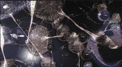 Uroboros | Resident Evil | Fandom