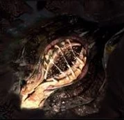 Leech | Resident Evil Wiki | Fandom