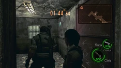 BSAA Emblem | Resident Evil Wiki | Fandom