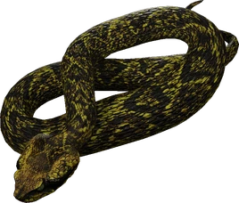 Viper | Resident Evil Wiki | Fandom