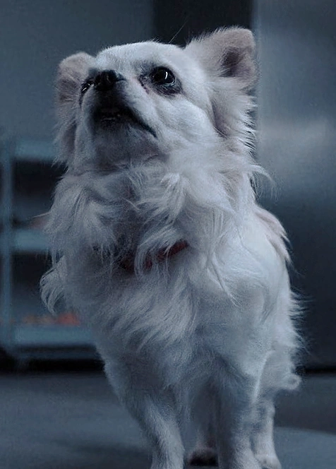 Pablo | Resident Evil Wiki | Fandom